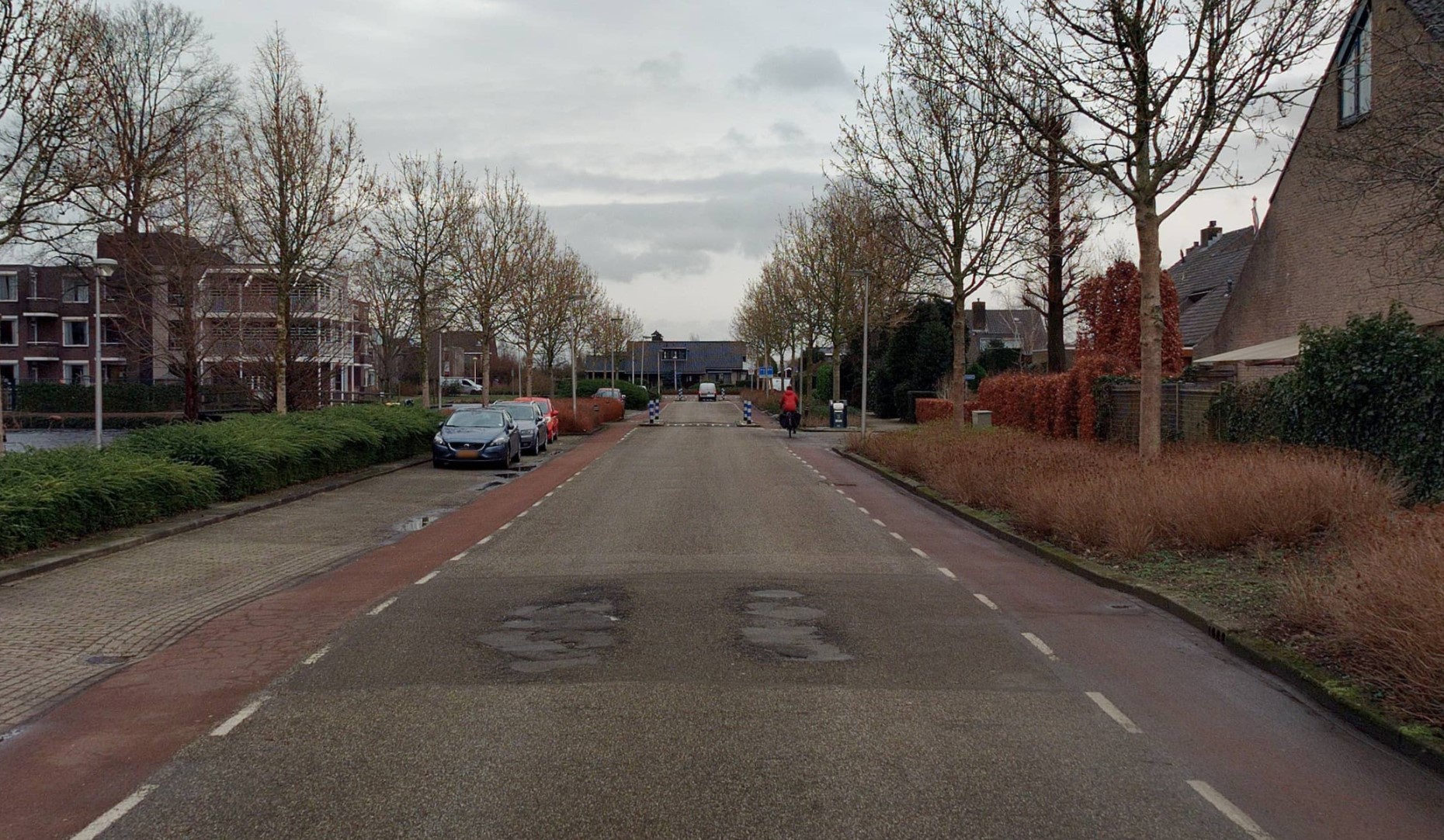 Nieuwe bomen aan de Dunantlaan in Reeuwijk - Rebonieuws.nl Nieuwe bomen aan de Dunantlaan in Reeuwijk - Rebonieuws.nl